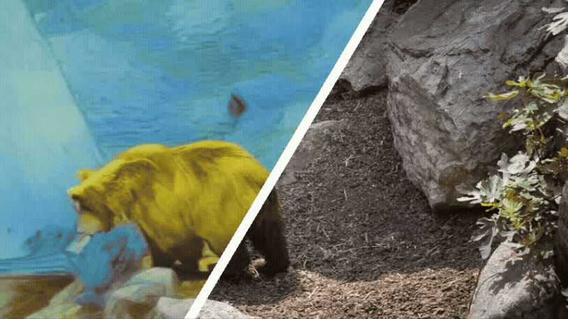 Hau-Shiang Shiu - Homepage